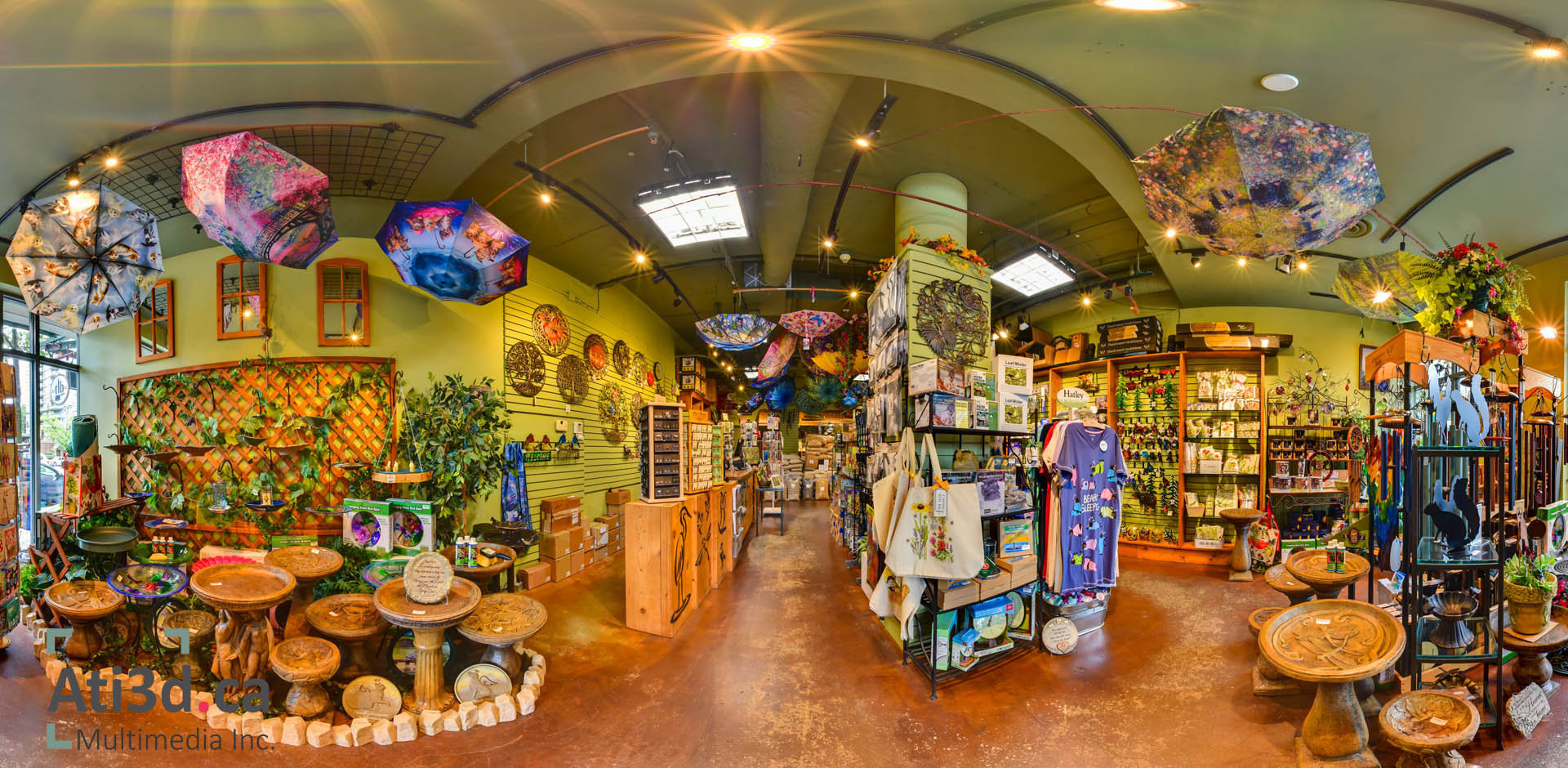 Backyard Bird Centre - Official Website of Fariborz AlaghehbandOfficial ...